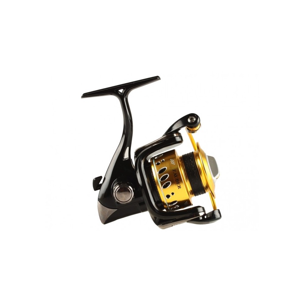 RITĖ RYOBI ZAUBER CF 1000-4000FD